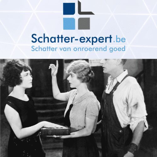 U zoekt een erkend & beëdigd schatter-expert? | Schatter-expert.be